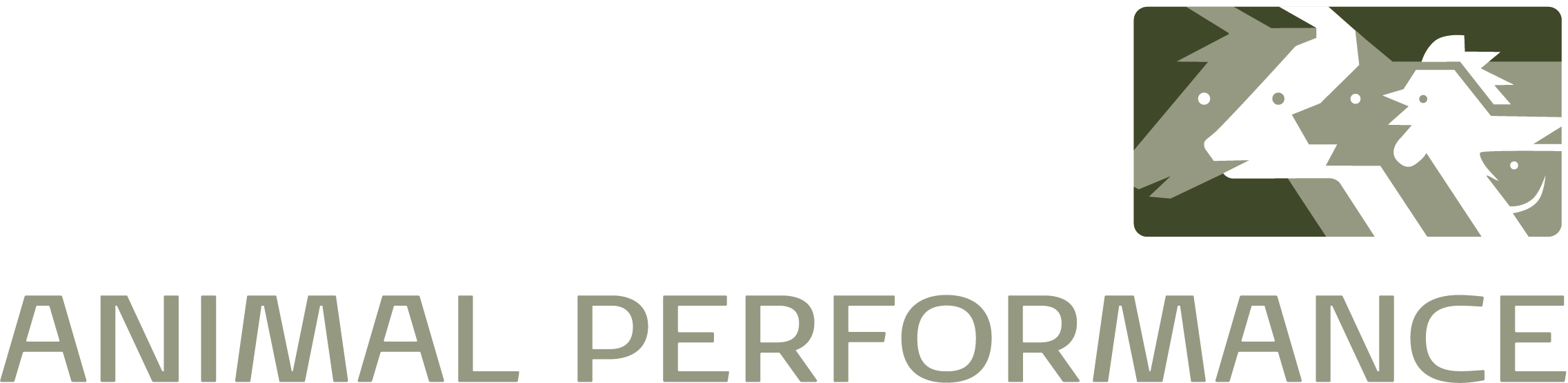 Hos BoPil er vi fagspecialister gennem mere end 20 år